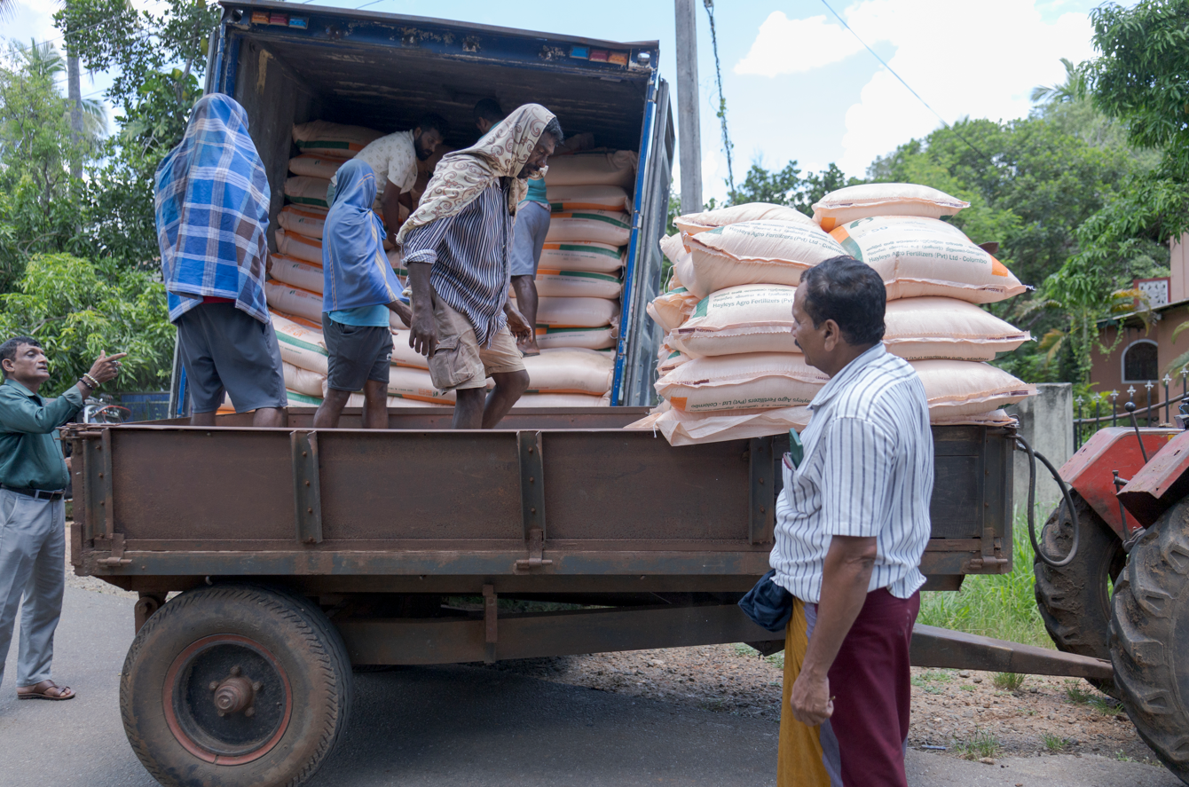 FAO Delivers Fertilizer Support to Cyclone-Affected Paddy Farmers in ...
